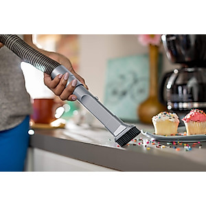 Dirt Devil Endura Max Upright Bagless Vacuum Cleaner for Carpet and Hard Floor, Powerful, Lightweight, Corded Vacuum Cleaners for Home Use