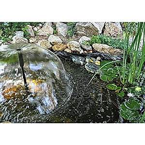 YOUSTOO Pond Liner - 10 by 13-Feet Fish Pond Liners for Outdoor Ponds, Lightweight Highly Flexible Pond Skins for Fish Ponds, Water Features, Garden Water Fountains, Waterfalls