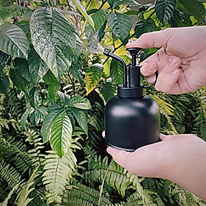 LOOPSEED Plant Mister Spray Bottle Stainless Steel Watering Can for Indoor Plants Bonsai Sprayer Succulent Spritzer Houseplant Atomizer Terrarium Mister Modern Garden Tools 10oz/300ml Black