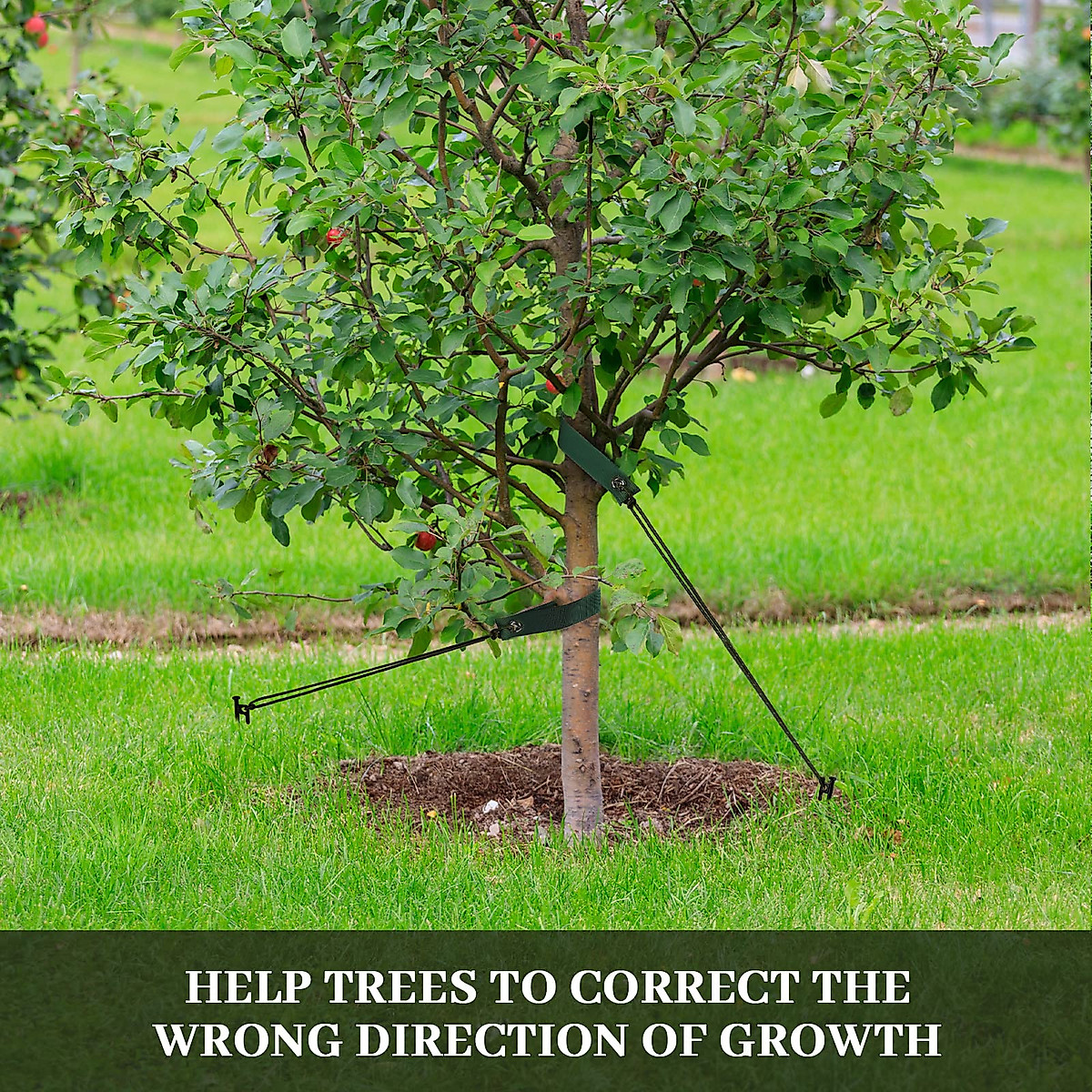 Tree Stakes - Heavy Duty Steel Tree Stake Straightening Kit, Tree Stakes and Supports for Young Trees, Include 6 PCS Steel Tree Stake, Tree Straps & Rope Black