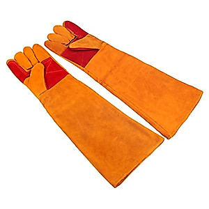 Alfie Pet - Isabel Animal Handling Protection Gloves for Cat, Dog, Bird, Snake, Parrot and Lizard