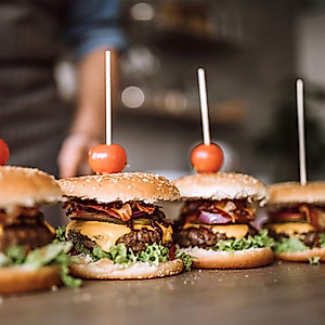 LivLab Fun Toothpick Holder - Cute Toothpick Dispenser ABS Fun Toothpick Holders Decorative Plastic Toothpick Holder (Black)