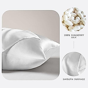 Hyde Lane 25 Momme 100% Pure Mulberry Silk Pillowcase for Hair and Skin with Hidden Zipper, Both Side Grade 6A Silk, Luxury Smooth and Soft,Real Silk Pillow Case, 1pc Standard 20''x26'',White