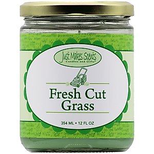 Fresh Cut Grass Scented Blended Soy Candle by Just Makes Scents (12 oz)