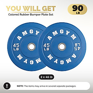 AMGYM Color Olympic Bumper Plate, Weights Plates, Bumper Weight Plate, Steel Insert, Strength Training(45lb Pair)