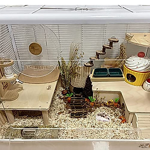 Acsist Hamster Bowl Guinea Pig Ceramic Water Bowl Hamster Food Dish Small Animal Bowl Prevent Knocking Over for Dwarf Hamster Syrian Hamster Rabbit Gerbil Chinchilla Hedgehog (Green)