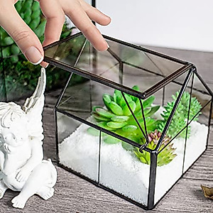 Ferrisland Glass Plant Terrarium Container Wardian Case Indoor Small Succulent Terrarium Planter w/Door for Tabletop Decor DIY Gift - 5.0"x4.3"x4.3"