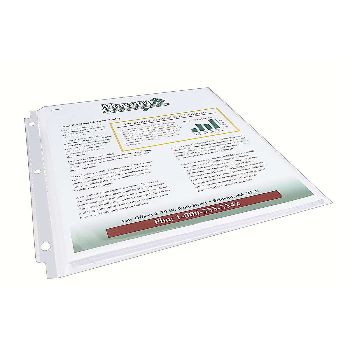 Avery Clear High-Capacity Sheet Protectors, Hold 50 Sheets, Heavyweight, 25 Multi Page Protectors (74171)