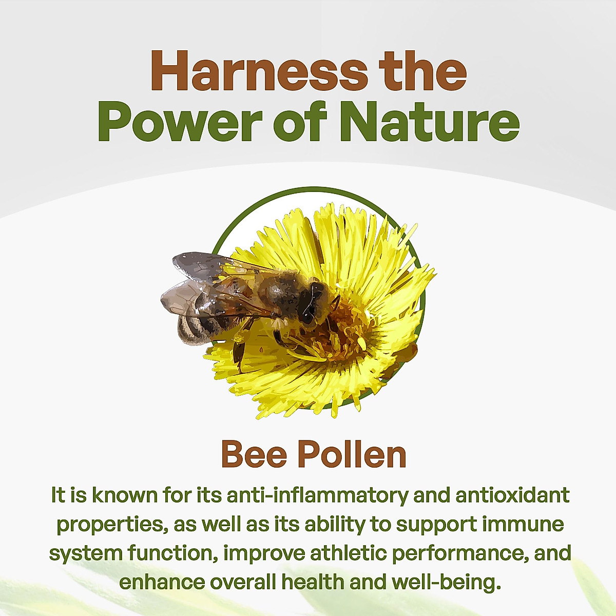 Go Nutra - Bee Pollen Powder, Pure Bee Pollen Powder, Bee Pollen Supplement for Humans, Dogs, Bearded Dragon, and More, Non-GMO, Gluten-Free, Vegan, 8 oz