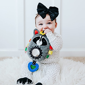 Kalianii Squish 'N Play Raccoon Activity Toy- Multi-Sensory Learning Baby Toy - Stroller Toy, Car Seat Toy, Tummy Time Toy, Teether Toy, Baby Gift - with Mirror, Rattle & Taggies