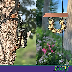 Backyard Boost Songbird Balls - Bird Food for Outside Wild Birds - 1.3.Pounds (Pack of 6)