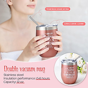 Farewell Gifts Coworkers Going Away Gift for Women Lucky Goodbye Gifts Christmas Gift Box for Coworker Lady Manager Employee (Pink,Stylish Style)