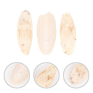 Scicalife Bird Cuttlebone for Parakeets,8-12cm Natural Cuddle Bone, Chewing Cuttlefish Bone for Sharp Beaks, Natural Birds Calcium Suitable for Parrot Cockatiels Budgie Conures (Beige)