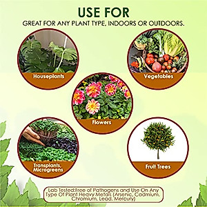 VermisTerra Vitality 16 oz - Worm Castings Super Concentrate, Plant Food, Fertilizer - Promotes Health, Amazing Growth for Vegetables, Fruit, Houseplants - Non-Toxic, Gentle - Will Not Burn