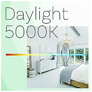 Asencia AN-03676 60 Watt Equivalent B11 All Glass Vintage Filament Dimmable LED Light Bulb, E12 Candelabra Base, 6-Pack, 6 Pack, Daylight (5000K)