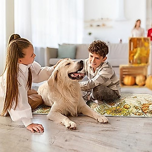 Tailus Hello Fall Sunflower Pumpkin Kitchen Rugs Set of 2, Autumn Harvest Wheat Mason Jar Kitchen Mats Decor, Buffalo Plaid Check Farmhouse Floor Door Mat Home Decorations - 17x29 and 17x47 Inch