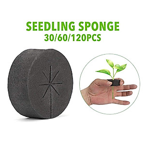 30 Pack Cloning Collars Inserts Premium Grade Foa, Plant Accessories Hydroponic Tower Aero Garden Pods Garden Clone Collar Hydroponics Sponge(Black)