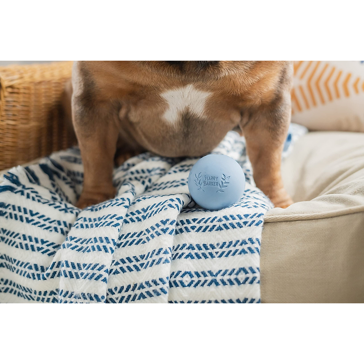 Harry Barker Rubber Balls and Rubber Chew Stick, Rubber Bone for Dogs - 2.5" Rubber Balls - 6 Pack