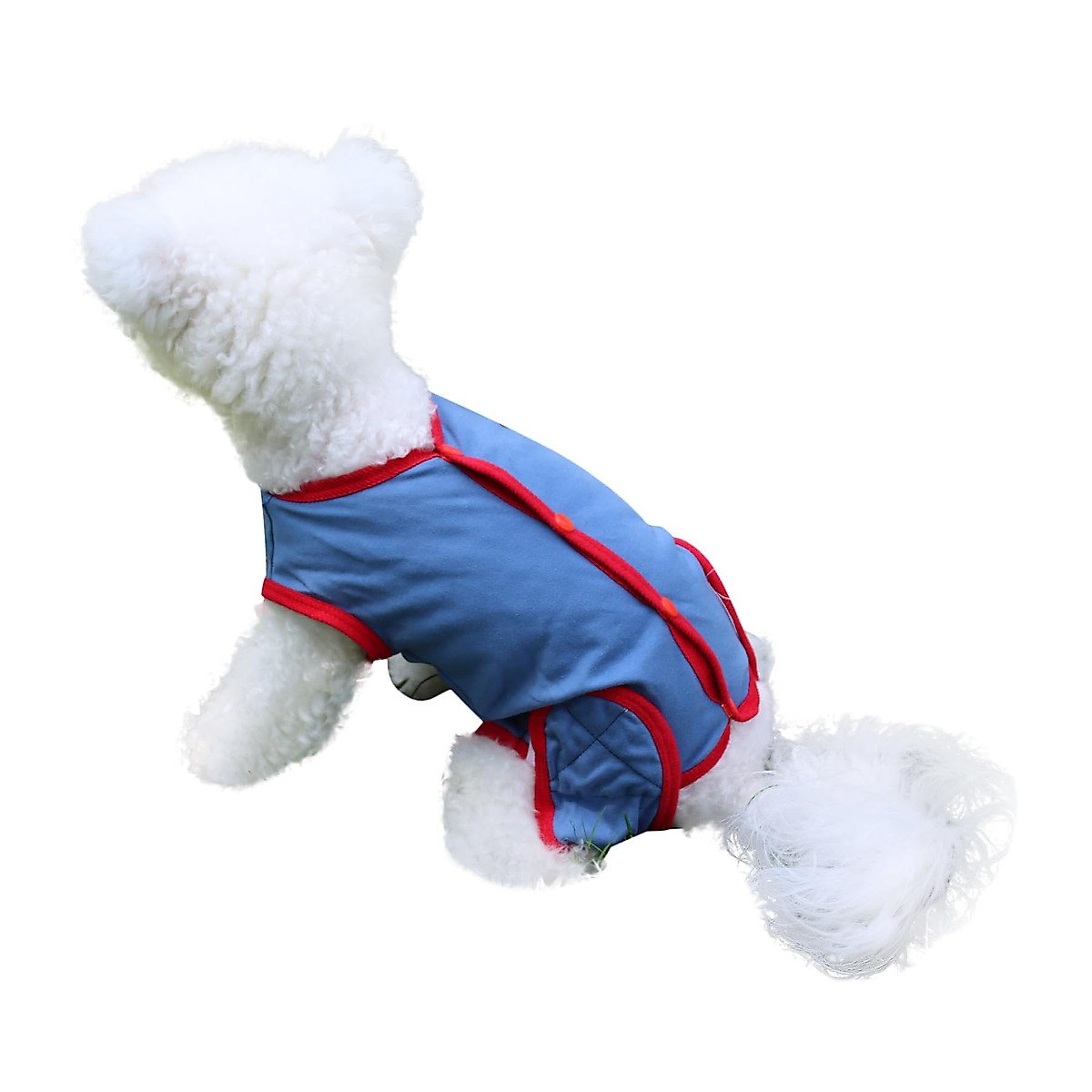 JoyDaog 2Pcs Dog Surgery Recovery Suit Substitute E-Collar & Cone,Recovery Onesie Puppy Surgical,Cat Recovery Shirt Dog Wounds Bandages Prevent Licking Dog,S