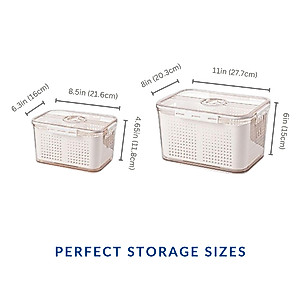 STERLING HOME ESSENTIALS Time Lock Drain Basket (SHETLBS1M1)