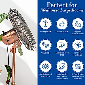 DecoBREEZE Pedestal Standing Floor Fan, 3 Speed Oscillating Fan with Adjustable Height, Pearl Black, Retro Fan, 16 inches