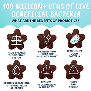 Under The Weather Pet Probiotic Chews for Cats | Promotes Normal Digestion, Balances Healthy Gut Health | 60 Star Shaped Soft Chews