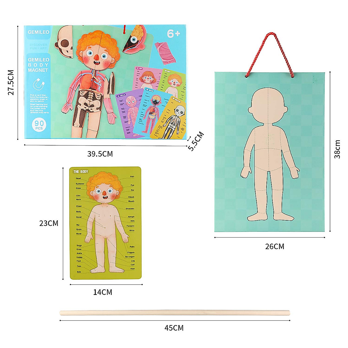 Human Body Puzzle for Kids Toddlers 90PCS Magnetic Boy Girl Anatomy Play Set Body Parts Organs Muscles Skeleton and Bones Wooden Puzzle Toys Aged 3+ Educational Learning Preschool Toys