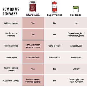 Burlap & Barrel Toasted Onion Powder – Rich, Savory-Sweet Flavor – Flavorful Onion Seasoning for Cooking – As Seen On Shark Tank - 2.9oz Glass Jar