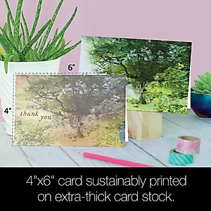 Tree-Free Greetings Sympathy Thank You Cards - Artful Designs - 16 Cards + Matching Envelopes - Made in USA - 100% Recycled Paper - 4"x6" - Sacred Trees Sympathy (TP61433)