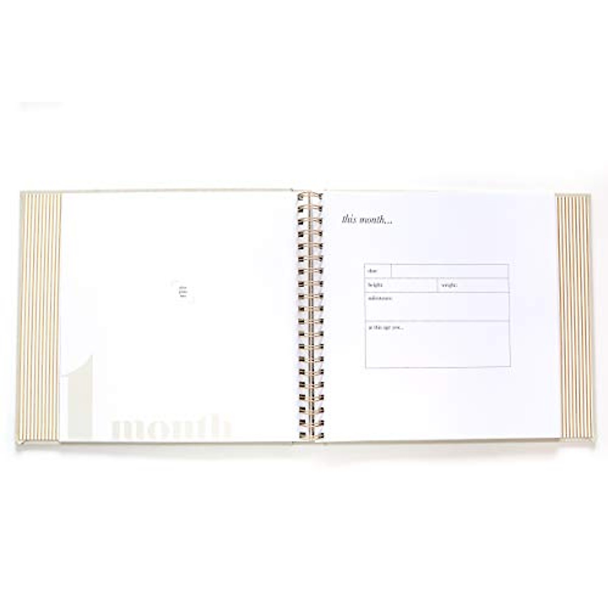 The Baby Memory Book: Beautiful Modern Baby Book and Scrapbook for Baby's First Years to Track Special Moments, Milestones and Growth from Pregnancy to First 5 Years