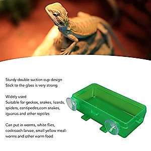 Reptile Feeding Food Water Bowl, Sturdy High Hardness Wall Mounted Green Removable Suction Cup Reptile Feeder Escape Proof for Bearded Dragon for Lizard (L)