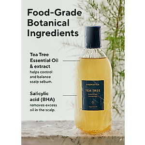AROMATICA Tea Tree Purifying Shampoo 13.53fl.oz./400ml, Tea Tree Shampoo for Oily Hair and Scalp, Sulfate Free, Vegan