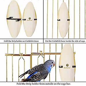 SunGrow 4 Pack Cuttlefish Bones for Cockatiels, Turtles, Shrimp, Dog Calcium Supplement, Cuttlebone Cage Holder Included