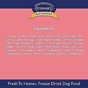 Stewart Raw Naturals Freeze Dried Dog Food Grain Free Made in USA with Chicken & Salmon, Fruits, & Vegetables for Fresh to Home All Natural Recipe, 12 oz.