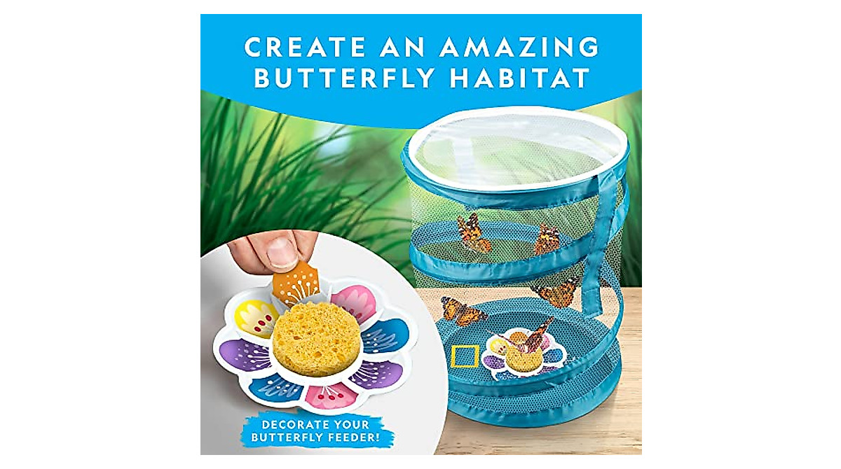 NATIONAL GEOGRAPHIC Butterfly Growing Kit - Watch Butterflies Grow