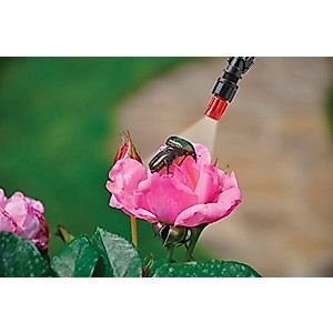 Solo 430-2G 2-Gallon Farm and Garden Sprayer with Nozzle Tips for Multiple Spraying Needs