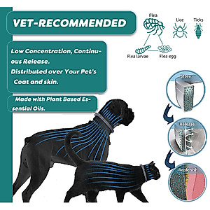 Flea and Tick Collar for Cats - Offers 12-Month Protection, Crafted with Premium Plant Oils, Waterproof, Natural, Safe for Kittens, Includes Free Comb and Tweezers, 13.8 in (2 Packs)