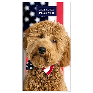 TF PUBLISHING 2024-2025 USA Doodle Dog 2-Year Small Monthly Pocket Planner | 2-Page Large Calendar Grid and Lined Notes Section in Back | Monthly Day Planner for Purse | 3.5" x 6.5"