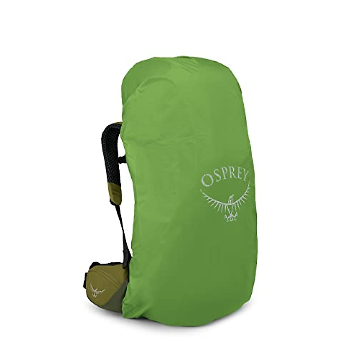 Osprey Atmos AG LT 50L Men's Backpacking Backpack, Scenic Valley/Green Peppercorn, L/XL