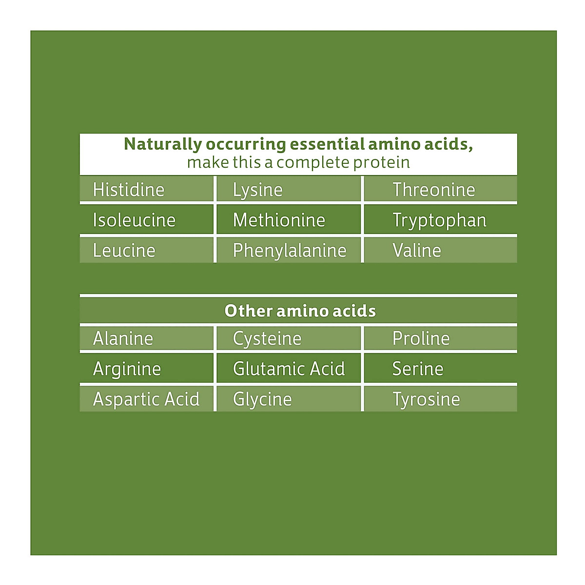 Biochem 100% Vegan Protein, Natural Amino Acids, Gluten Free, Keto, Non Whey, Pea & Hemp Protein Powder for Women and Men, 24 Servings 2 LB (Chocolate)