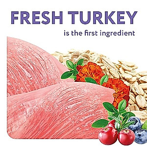 OPtimeal Weight Control Cat Food - Proudly Ukrainian - Cat Food Dry Recipe with Metabolism Support for Healthy Digestion, Tasty Dry Cat Food for Adult Cats (3.3 lbs, Turkey & Oatmeal)