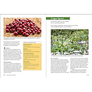 Pacific Northwest Medicinal Plants: Identify, Harvest, and Use 120 Wild Herbs for Health and Wellness (Medicinal Plants Series)