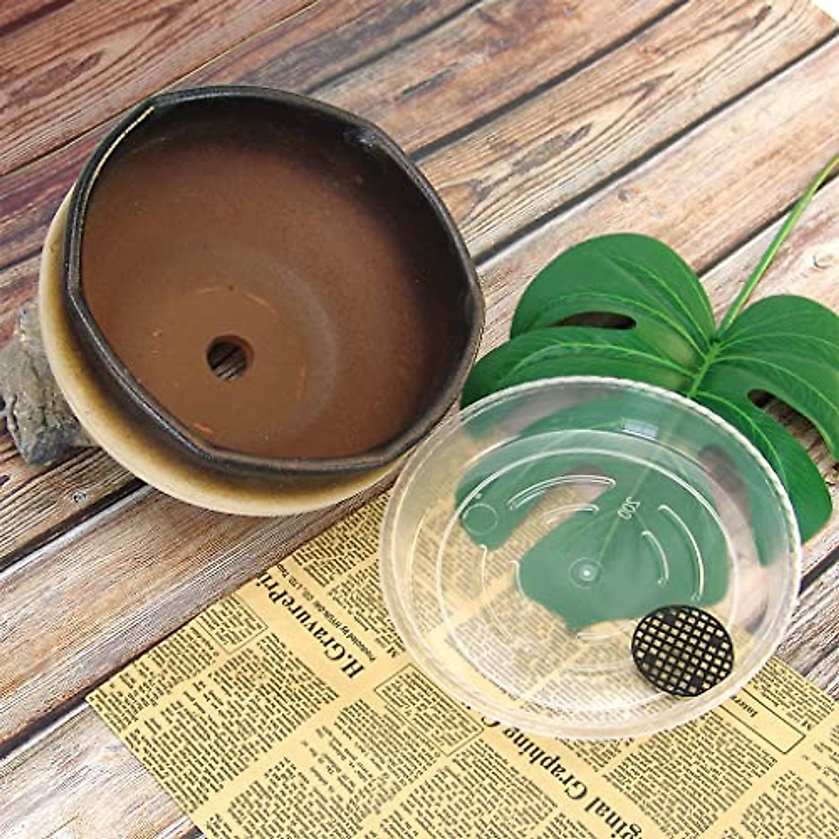 Summer Impressions 8 Inch Glazed Terracotta Plant Pot Round Ceramic Succulent Planter Pot with Drainage and Saucer Cactus Clay Pot Bonsai Pot