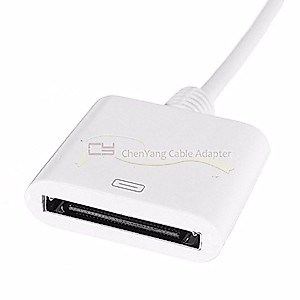 AngelicaPeony 30pin Female to USB 3.1 Type C Male USB-C Adapter Cable Computers Components Accessories Adapters