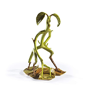 The Noble Collection Fantastic Beasts Magical Creatures: No.2 Bowtruckle