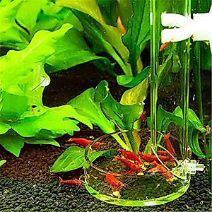 Tfwadmx Shrimp Feeding Dish and Feeder Tube Transparent Feeder Container for Shrimp Tropical Fish African Dwarf Frog 2Pcs