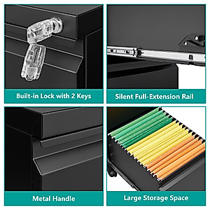 LISSIMO 2 Drawer Metal File Cabinet, Rolling File Cabinet with Lock for Hanging Legal/Letter Size,Under Desk Filing Cabinet for Home Office Assembly Required Black