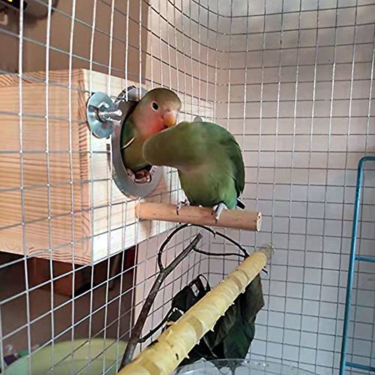 kathson Parrot Nest Breeding Box, Wood Bird Nest for Cage, Parakeet Nesting Box with Perches Pet House Natural Coconut Fiber Bird Toys for Parakeet Cockatoo Budgie Cockatiel Lovebirds (Large)