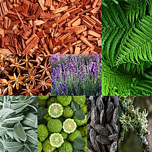 Varon Dandy Dakar Fresh Scent English Style Cologne for Men, 32 Fl Oz