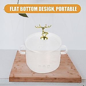 GANAZONO Glass Cooking Pot Clear Glass Saucepan Heat Resistant Borosilicate Glass Pot with Lid and Handle Stovetop Simmer Pot Potpourri for Ramen Noodle Soup Milk Vegetable